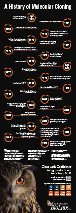 Cloning & Synthetic Biology | NEB