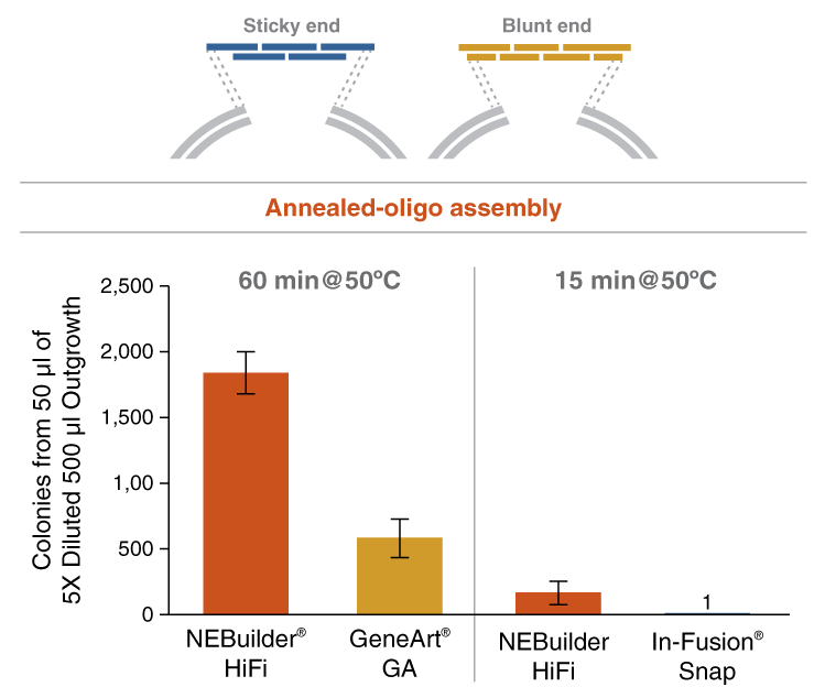 NEBuilder® HiFi DNA Assembly – Benefits Over GeneArt Gibson Assembly ...
