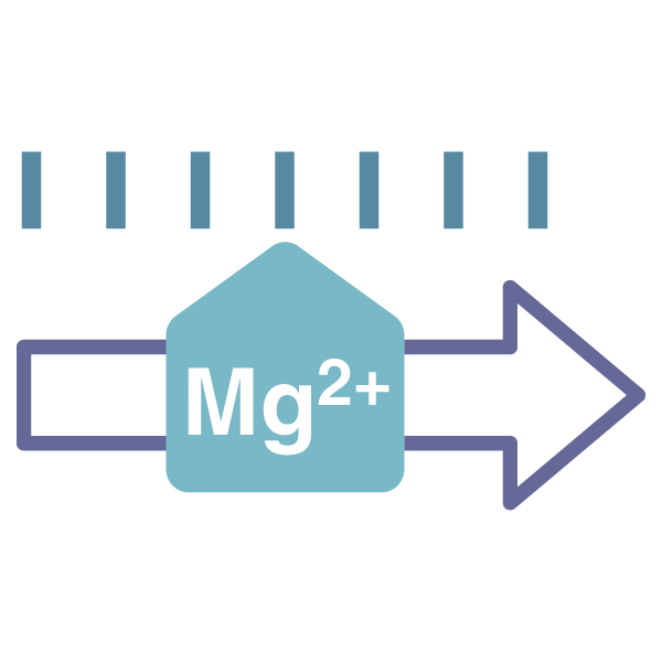 Four tips for PCR amplification of GC-rich sequences | NEB