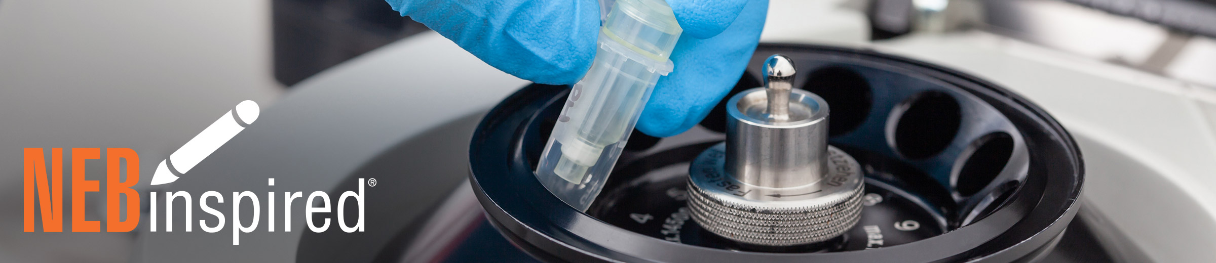 Essential Tips for PCR & DNA Cleanup: Maximize Your DNA Purity and ...