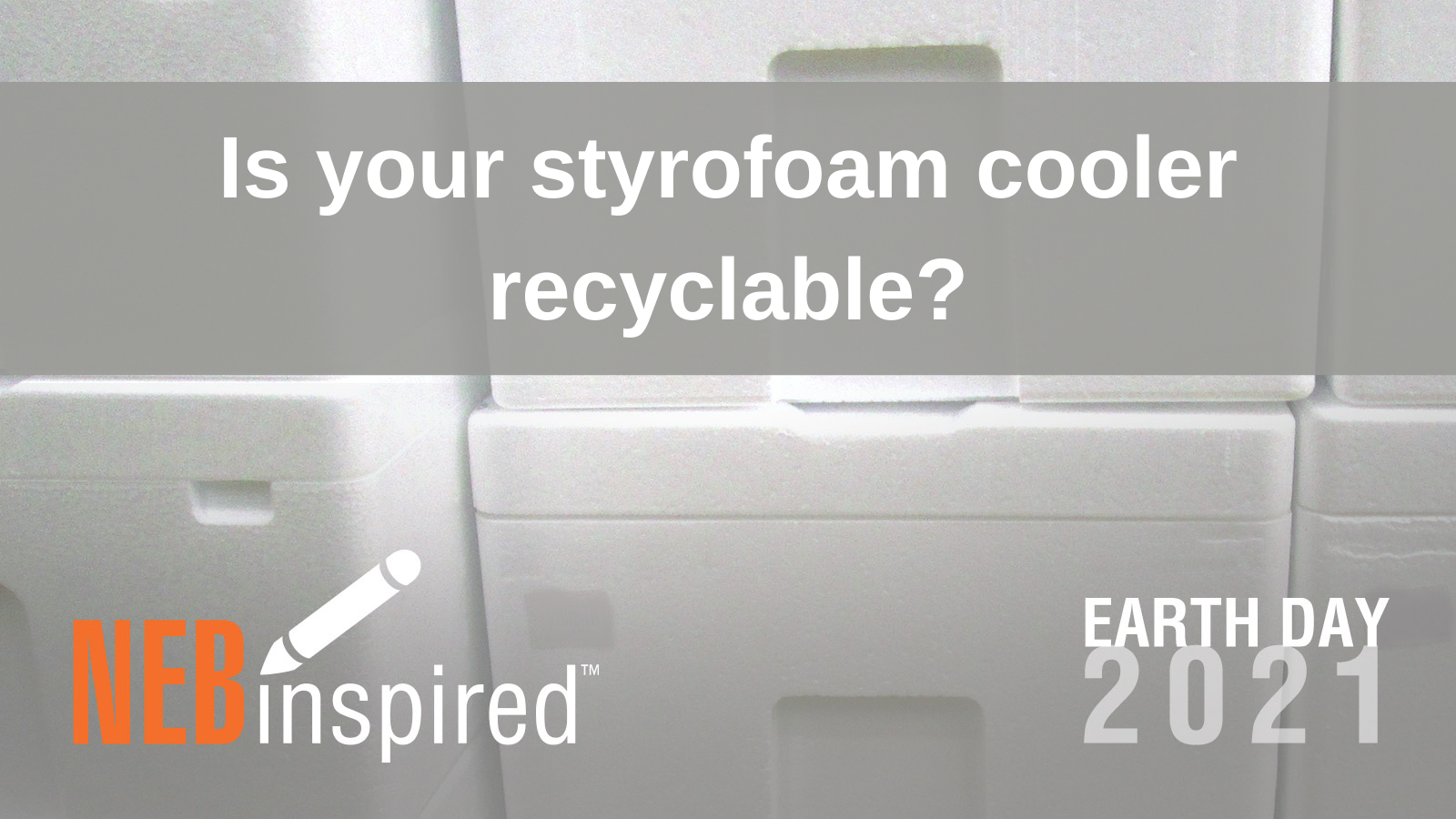 Recycling styrofoam | NEB