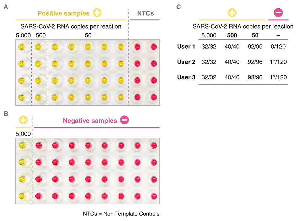 SARS-CoV-2 Rapid Colorimetric LAMP Assay Kit | NEB