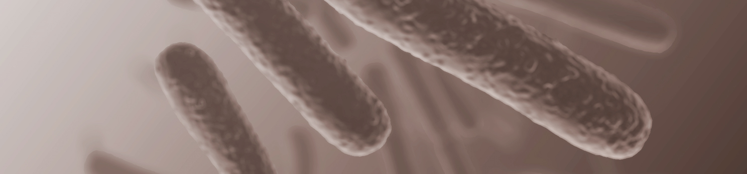 Competent Cells | NEB