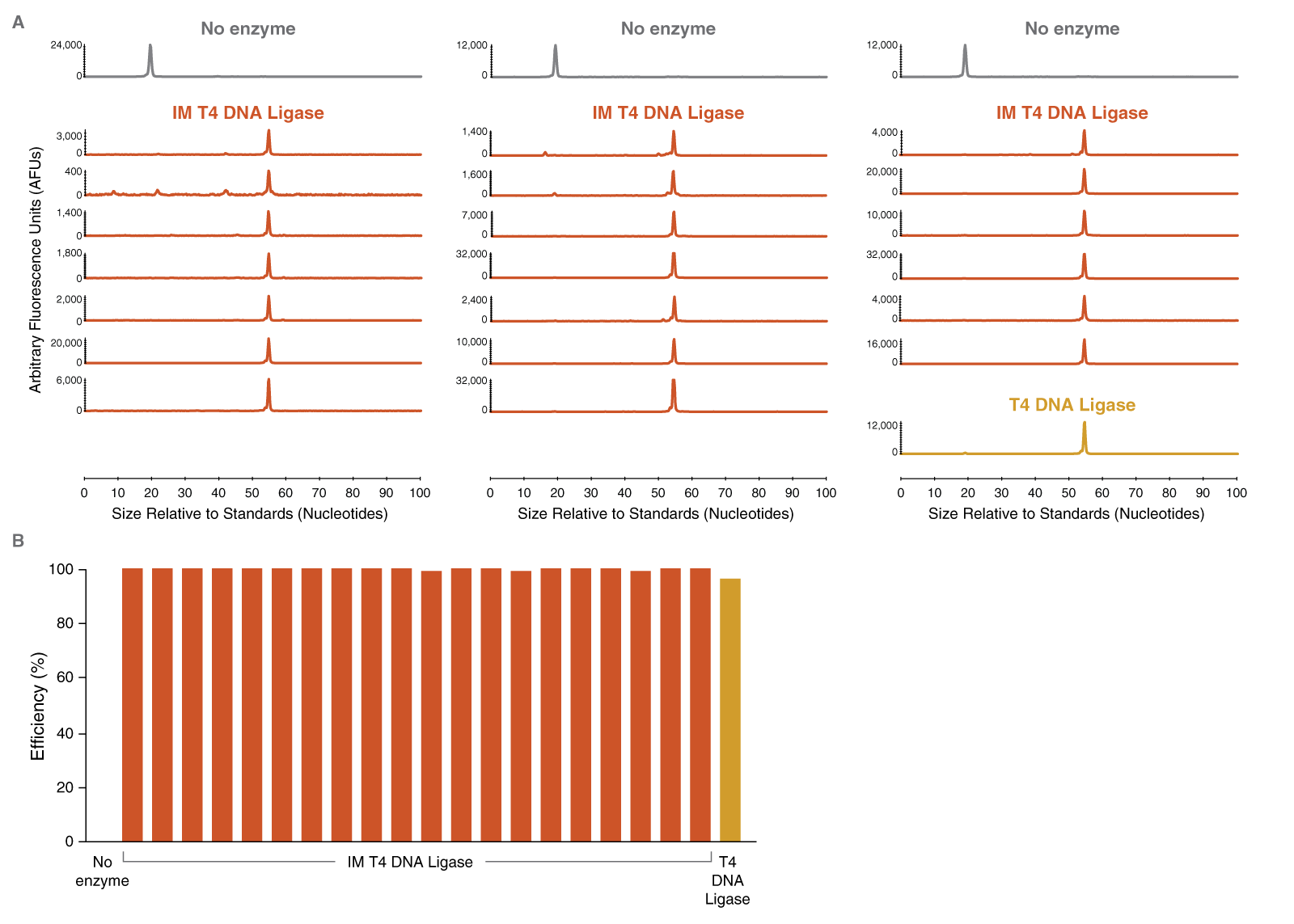 Immobilized T4 DNA Ligase | NEB