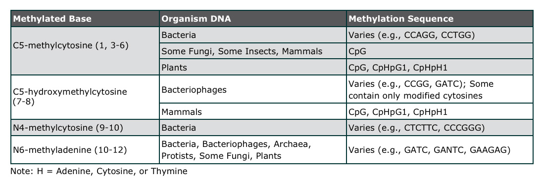 Epigenetic Research | Epigenetic Effects Products | NEB