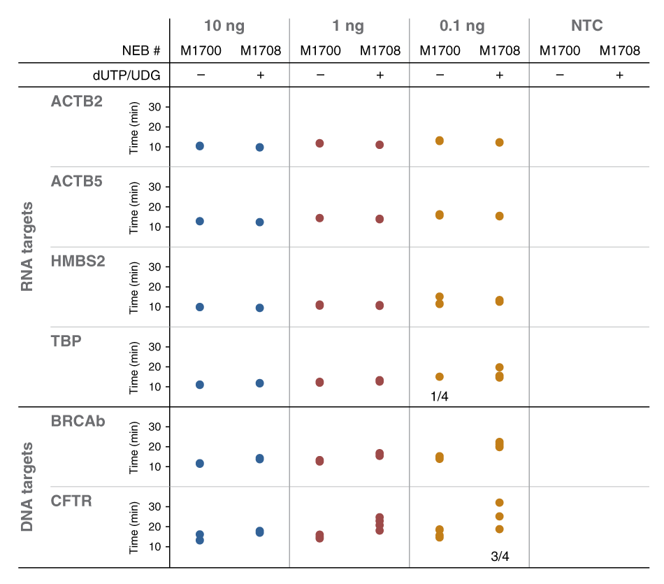 WarmStart® Fluorescent LAMP/RT-LAMP Kit (with UDG) | NEB