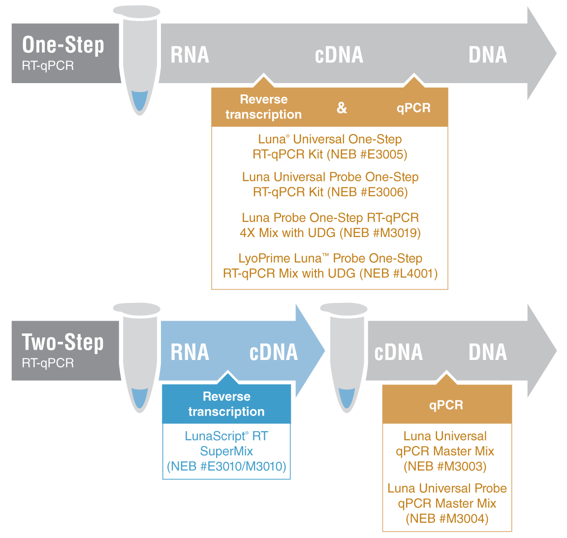 LunaScript® RT SuperMix Kit | NEB