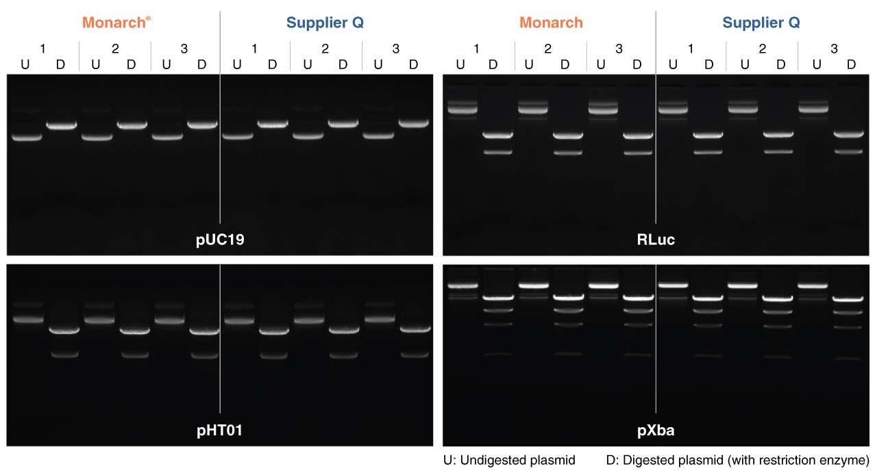 Monarch® Spin Plasmid Miniprep Kit | NEB