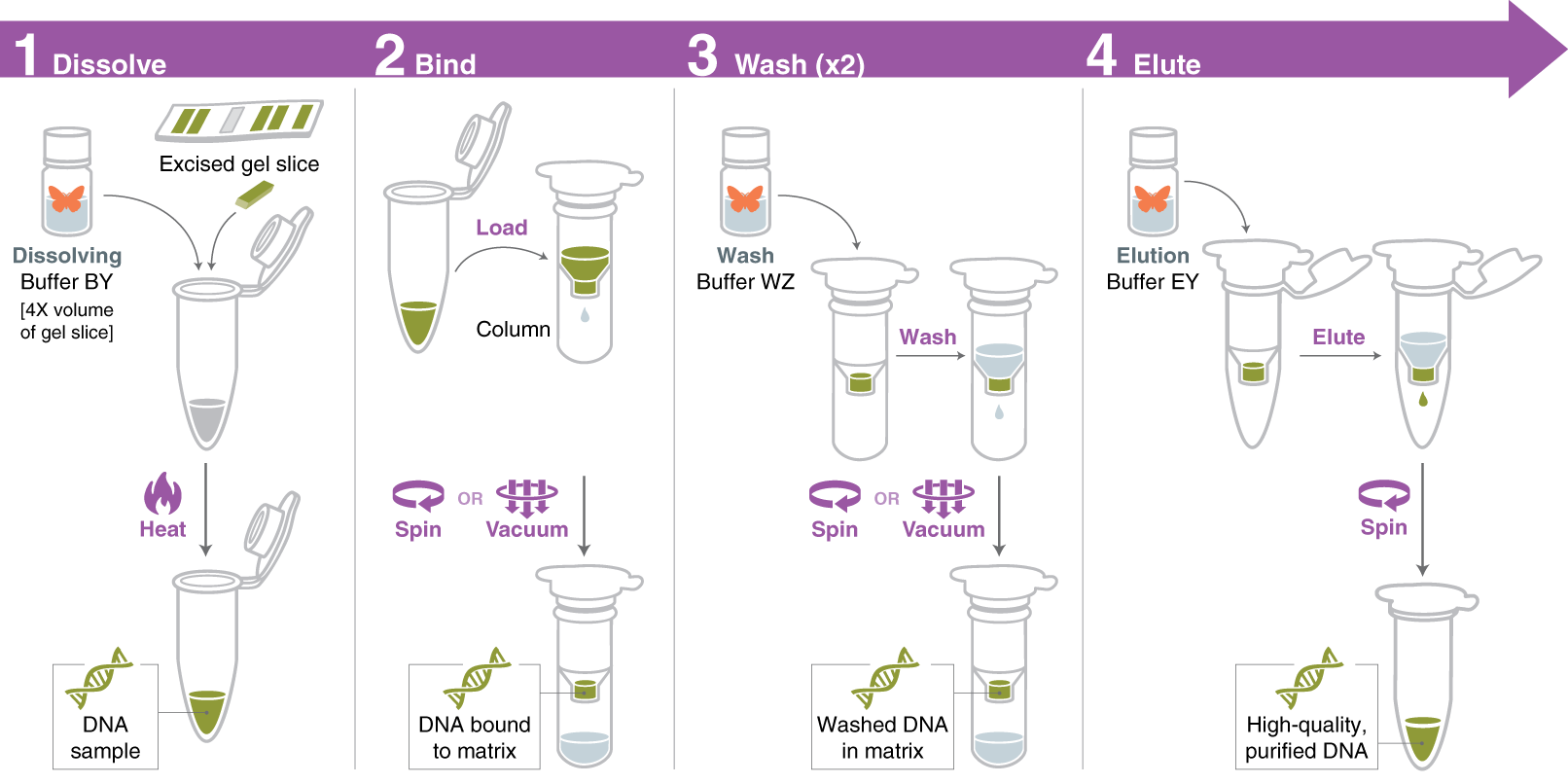 Monarch® Spin DNA Gel Extraction Kit | NEB