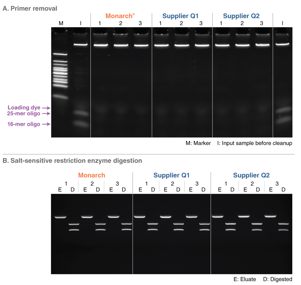 Monarch® Spin PCR & DNA Cleanup Kit (5 μg) | NEB