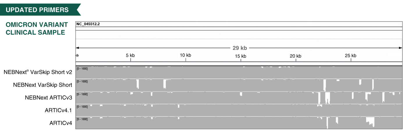NEBNext® ARTIC SARS-CoV-2 RT-PCR Module | NEB