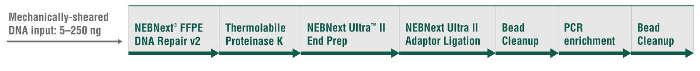 NEBNext® FFPE DNA Library Prep Kit | NEB