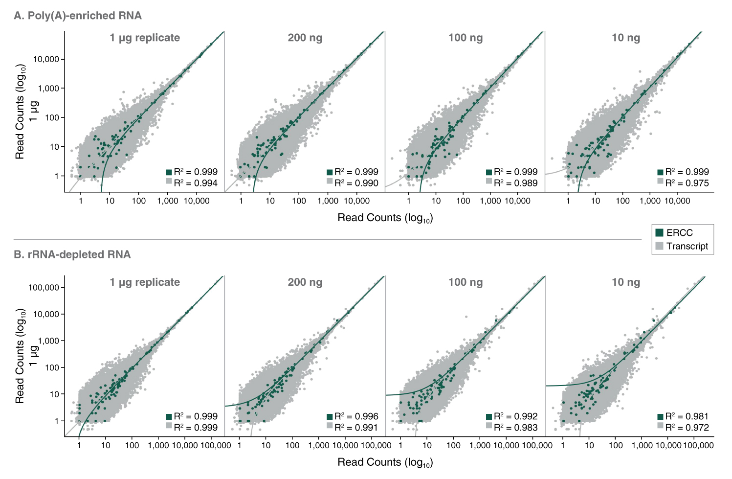 NEBNext® RNA Library Prep Kit for MGI® | NEB