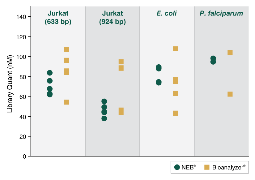 NEBNext® Library Quant Kit for Illumina® | NEB