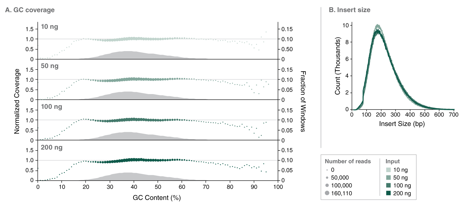 NEBNext ULTRAEXPRESS® DNA Library Prep Kit | NEB