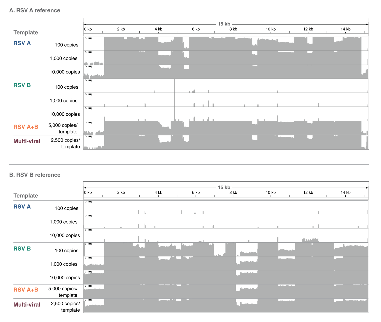 NEBNext® RSV Primer Module | NEB