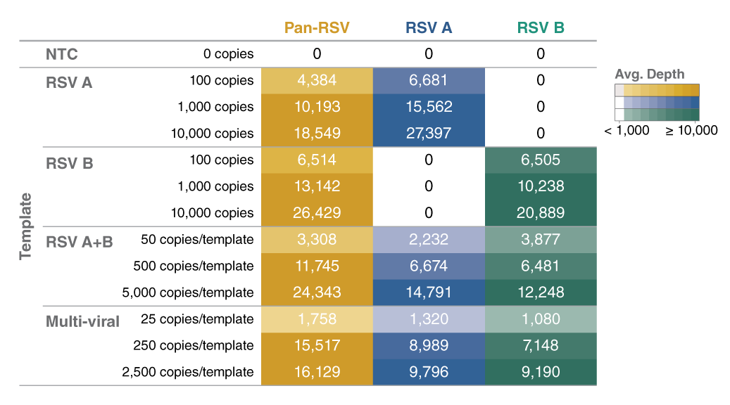 NEBNext® RSV Primer Module | NEB