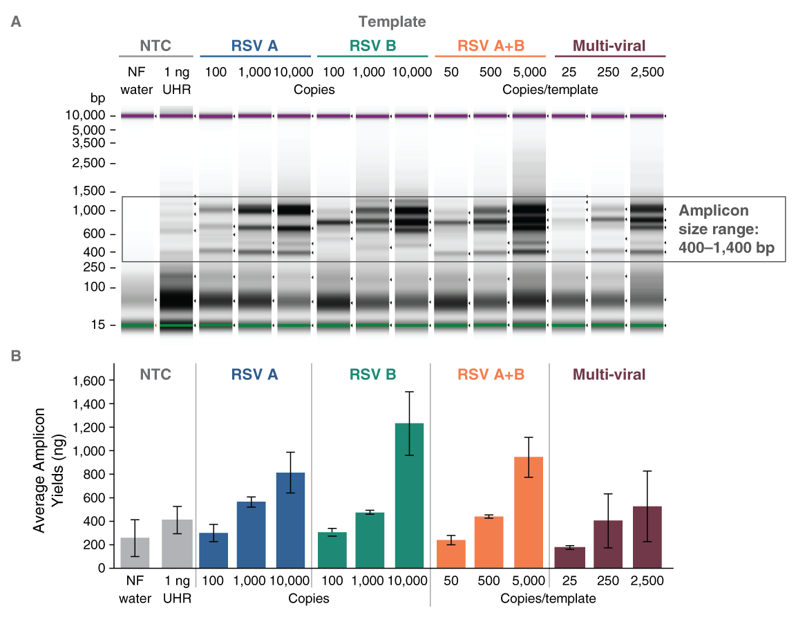 NEBNext® RSV Primer Module | NEB