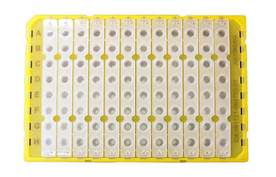 LyoPrime Luna® Probe One-Step RT-qPCR Mix with UDG | NEB