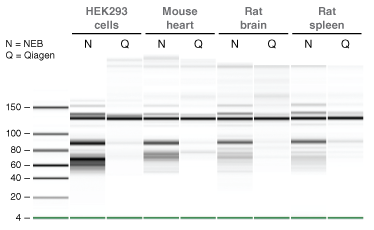 Monarch Total RNA Miniprep Kit (NEB #T2010) | NEB
