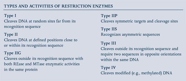 Restriction Endonucleases Molecular Cloning And Beyond Neb