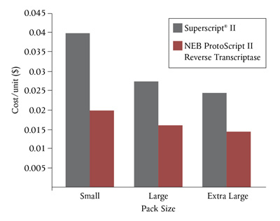 Reverse Transcriptases | NEB