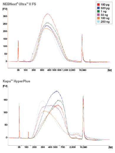 NEBNext® Ultra™ II FS DNA Library Prep with Sample Purification Beads | NEB