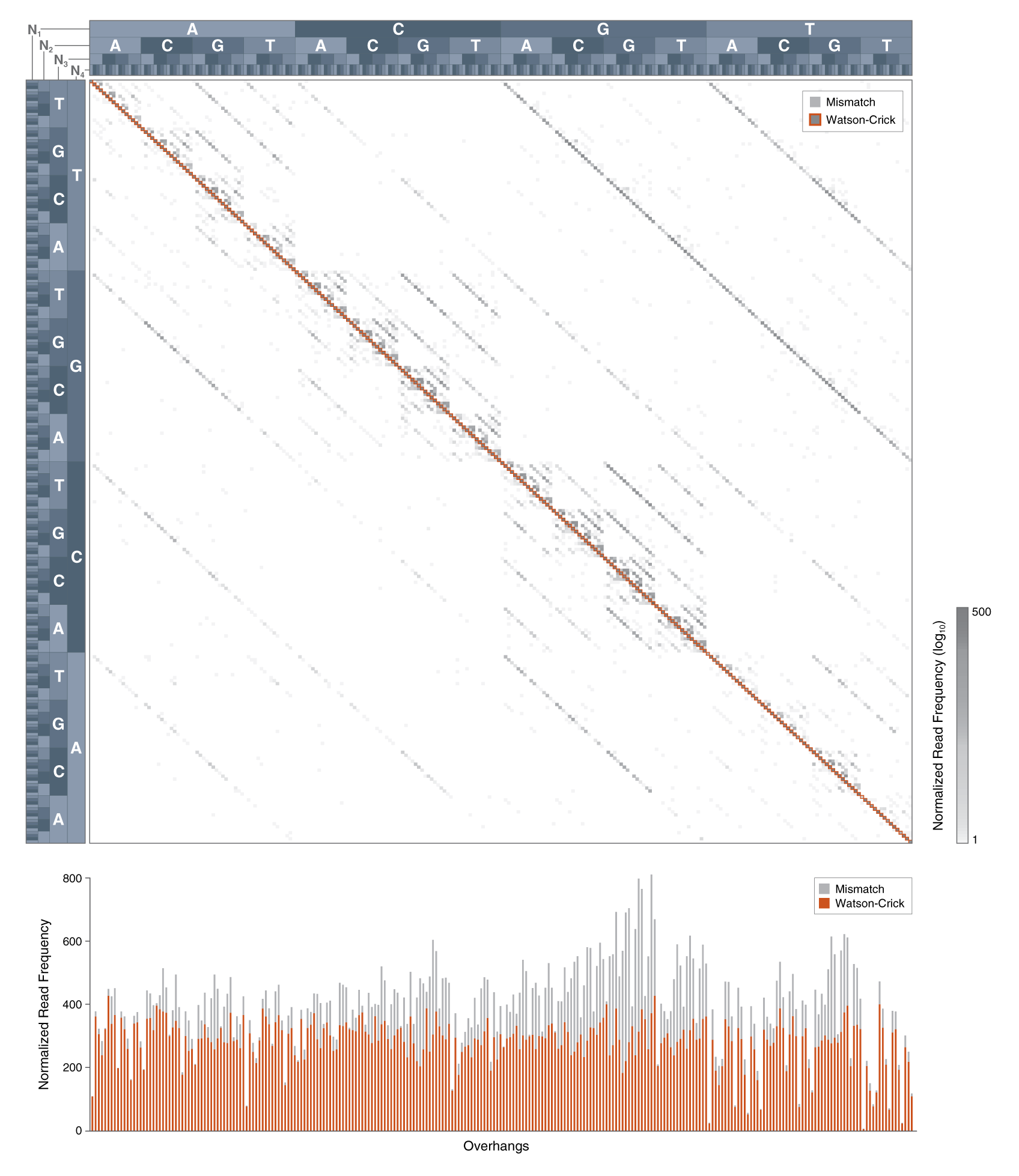 Kinetics and mechanism of polynucleotide ligases | NEB