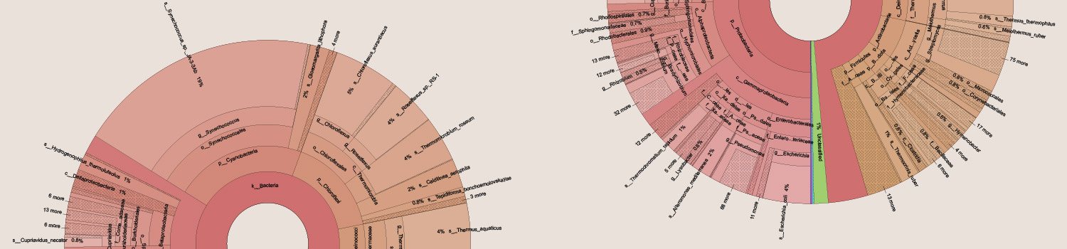 Metagenomics Core Facility | NEB