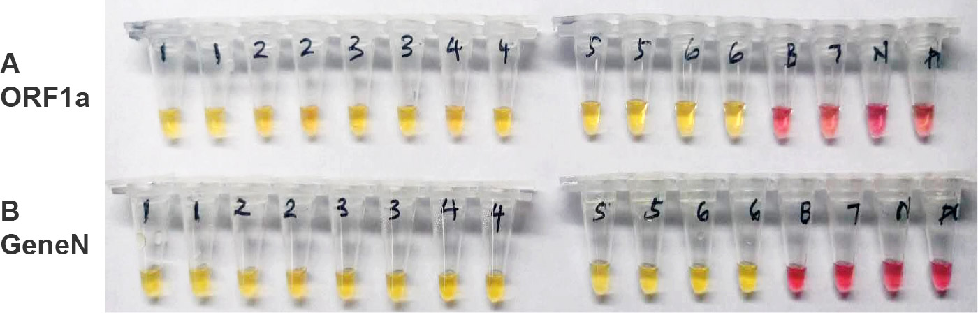 Methods and tools for isothermal diagnostics | NEB