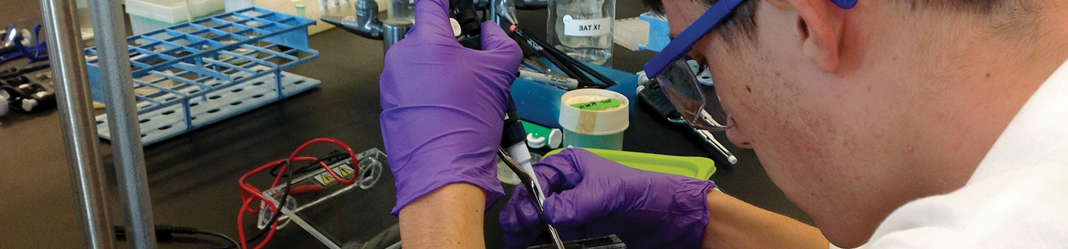 Molecular Biology Summer Workshops | NEB