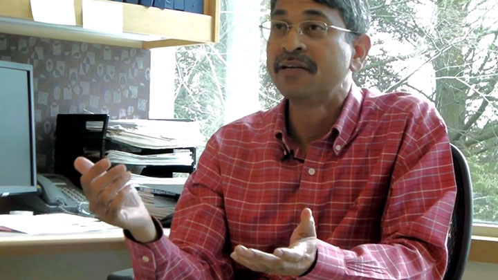 Interactive Tutorial Explaining the Phenomenon of Epigenetics at a ...