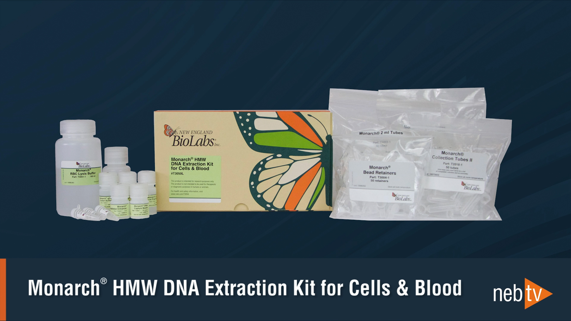 Protocol for High Molecular Weight DNA (HMW DNA) Extraction from Cells ...