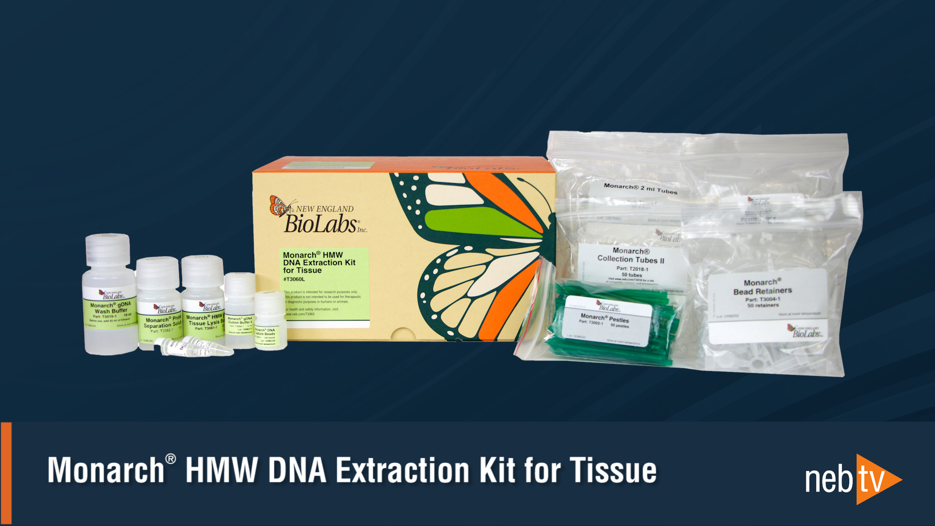 Genomic DNA Extraction & Purification | NEB