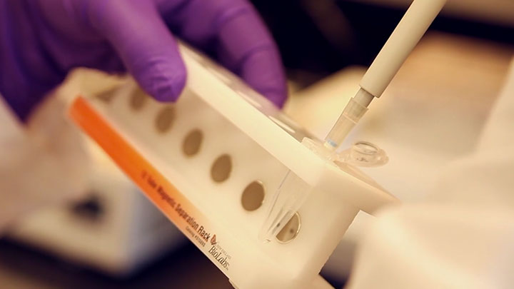 NEBNext® Ultra™ II for DNA Library Prep | NEB