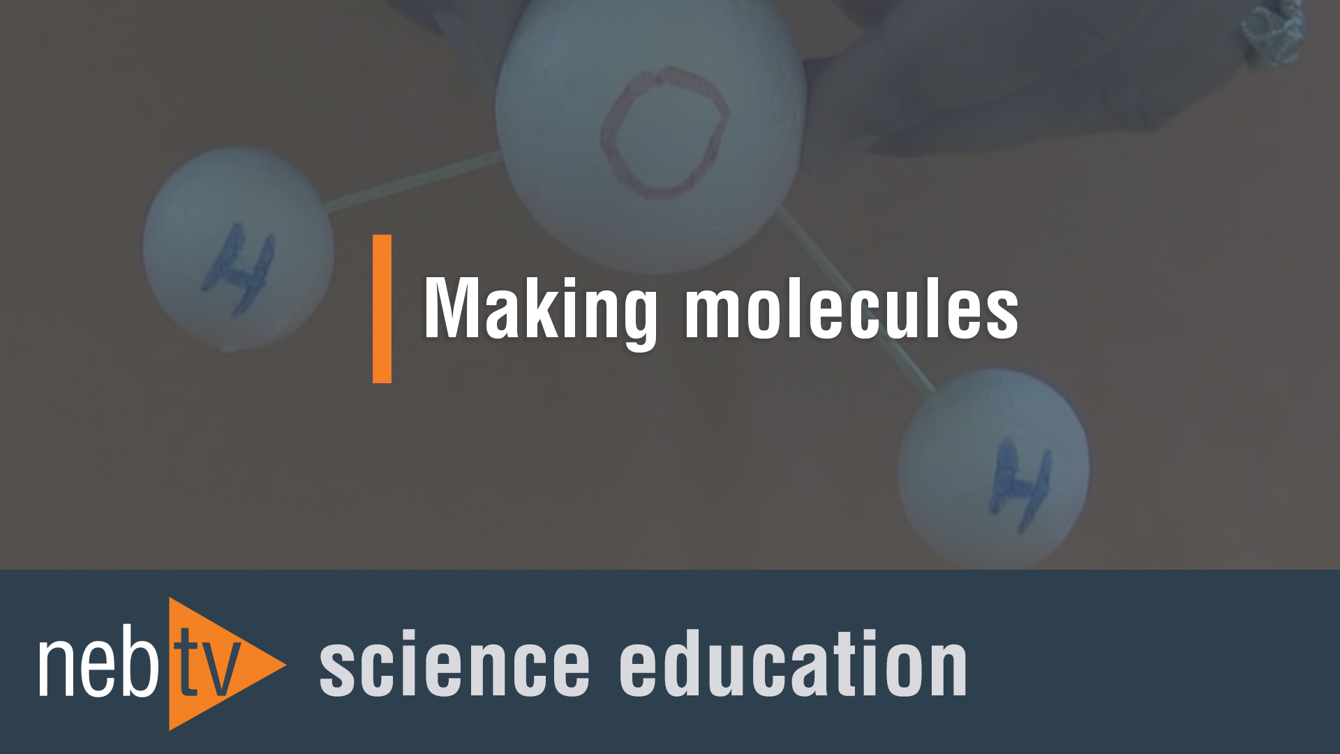 NEB Kids’ Science Day Experiments | NEB