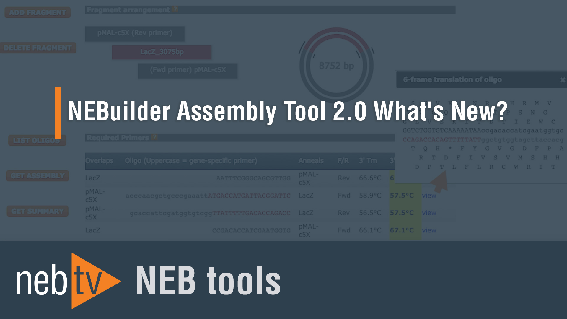 Gibson Assembly® Cloning Kit | NEB