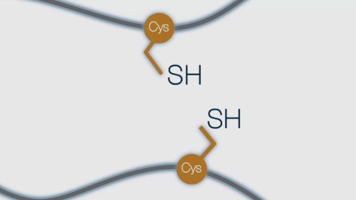 Disulfide Bond The Interactions Of Potassium Hydroxide In The Vicinity