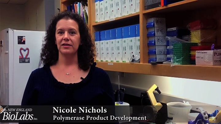 High-Fidelity PCR | NEB