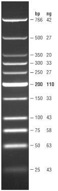 Low Molecular Weight DNA Ladder | NEB