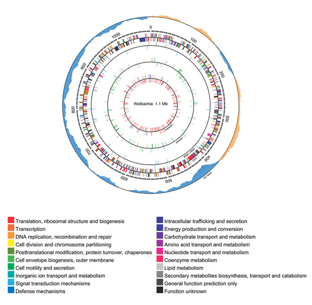 Combating Neglected Diseases - a genomic approach to identify potential ...