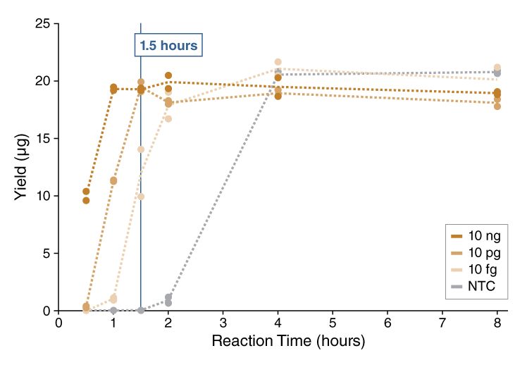 phi29-XT WGA Kit | NEB