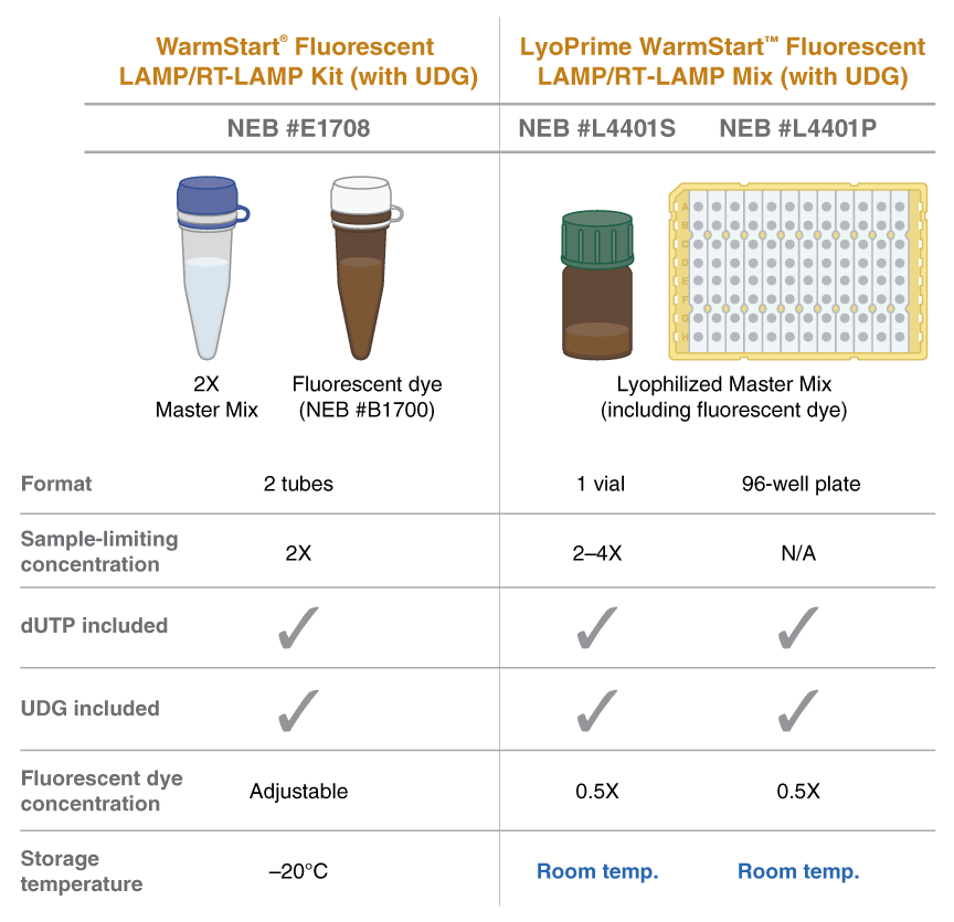 LyoPrime WarmStart® Fluorescent LAMP/RT-LAMP Mix (with UDG) | NEB