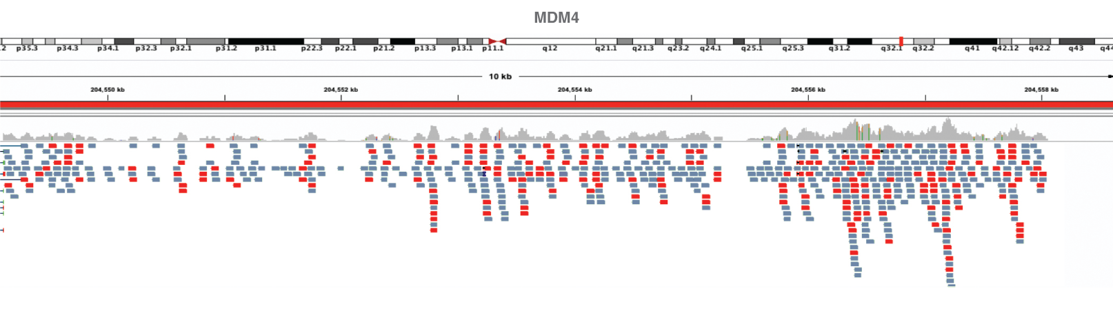 NEBNext® Multiplex Oligos for Illumina (Unique Dual Index UMI Adaptors ...