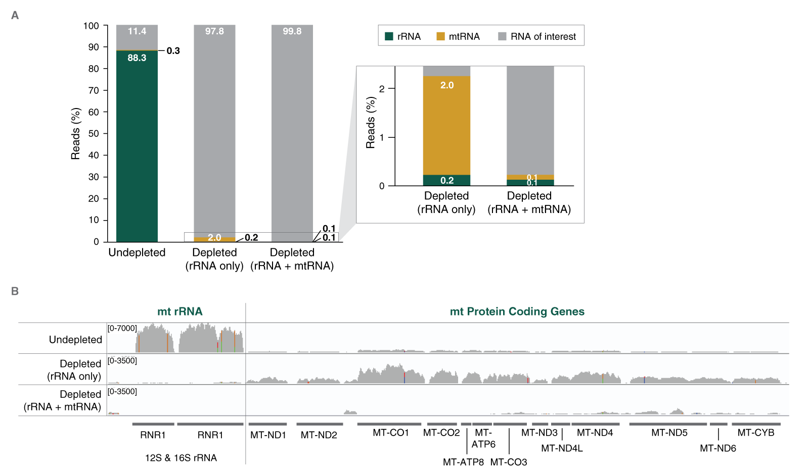 NEBNext® RNA Depletion Core Reagent Set | NEB
