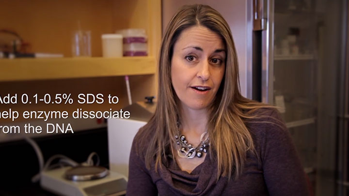 Reduce Star Activity with High-Fidelity Restriction Enzymes | NEB