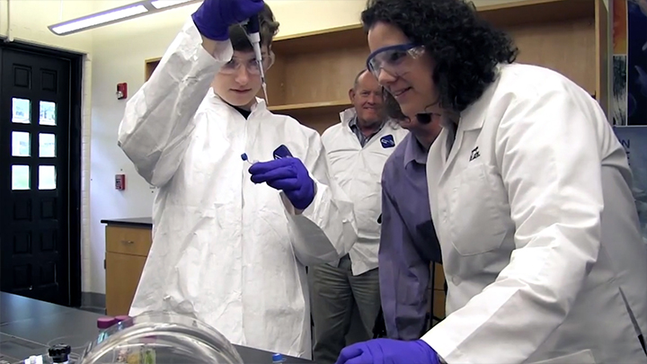 Molecular Biology Summer Workshops | NEB