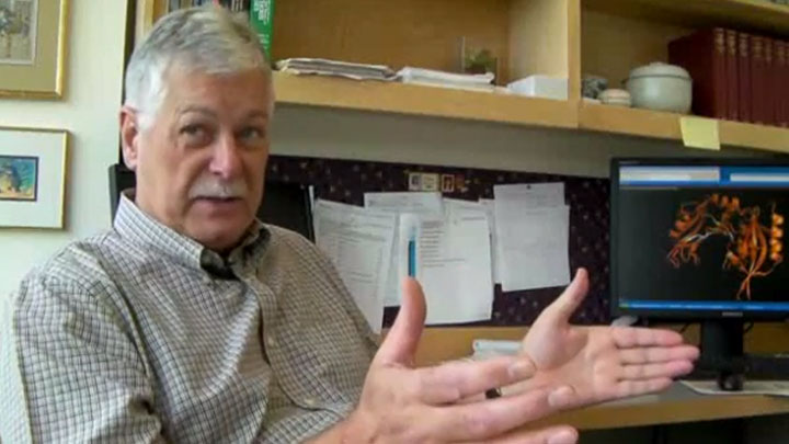 What is a Type III Restriction Enzyme? | NEB