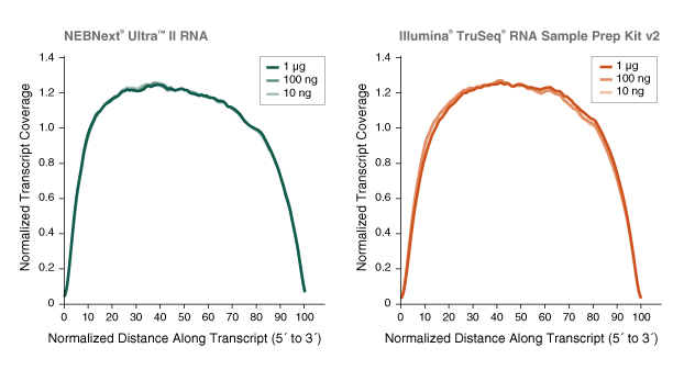 NEBNext Ultra II RNA Library Prep with Sample Purification Beads | NEB