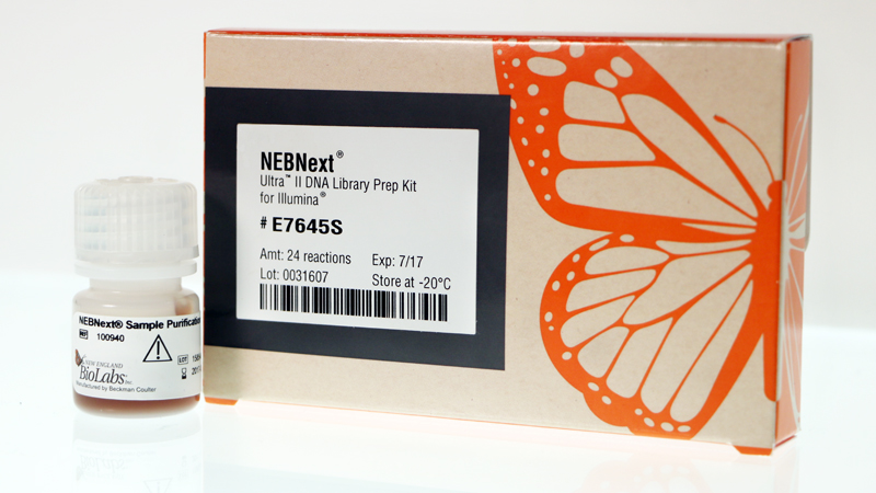 NEBNext® Ultra™ II DNA Library Prep Kit for Illumina® | NEB